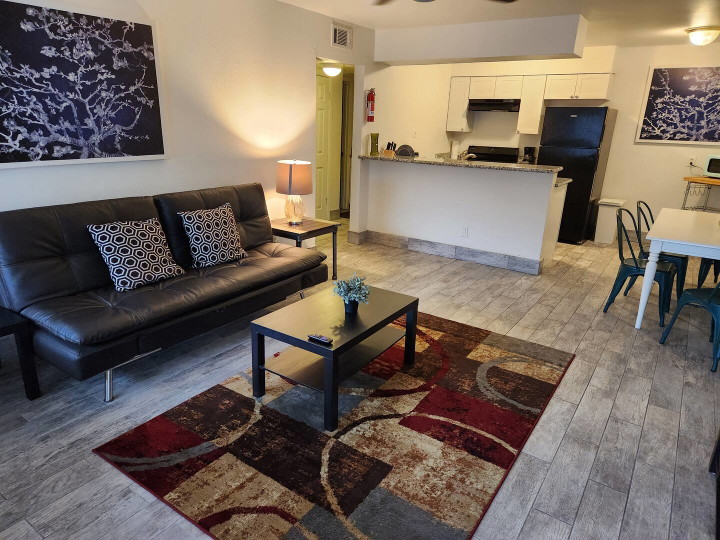 Cozy Fully Furnished 1br/1b By Heights (11) - Houston, TX