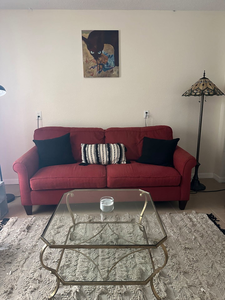 Davis Islands Apartment - Tampa, FL