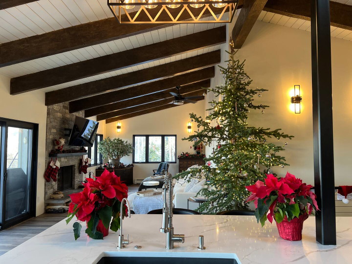 Cozy Home, Private ; Sauna, Cold Plunge, Hot Tub - Snowmass Village, CO