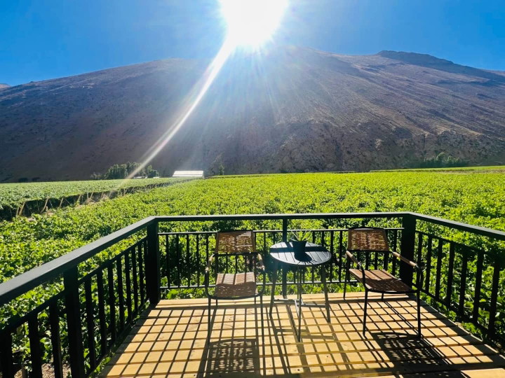 Loft Pisco Elqui - Elqui