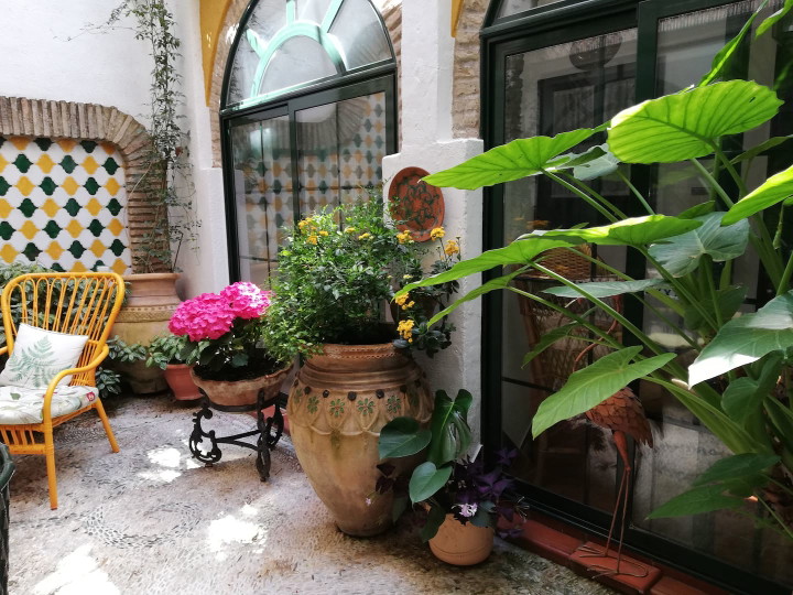 Outward-facing Apartment With A Terrace In The Historic Center - Cordova