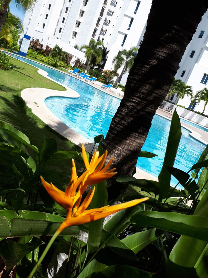 El Apartamento Que Buscas En Playa Blanca, Panamá - Panama