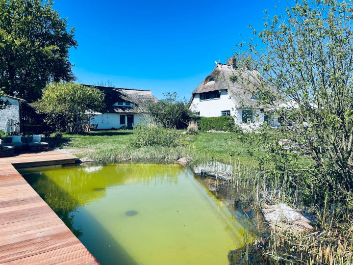 W1_idyllic Thatched Roof With Sauna And Natural Pool - Rügen