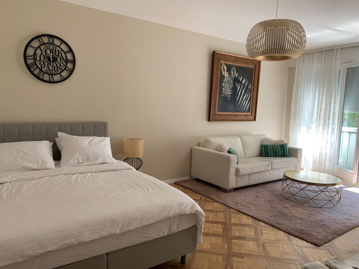 Cosy Studio Central Geneva, With Parking - Ginevra