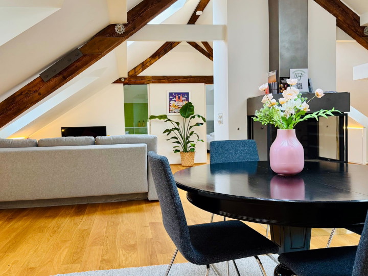 Traumhafte Wohnung üBer Den Dächern Von Basel - Bâle