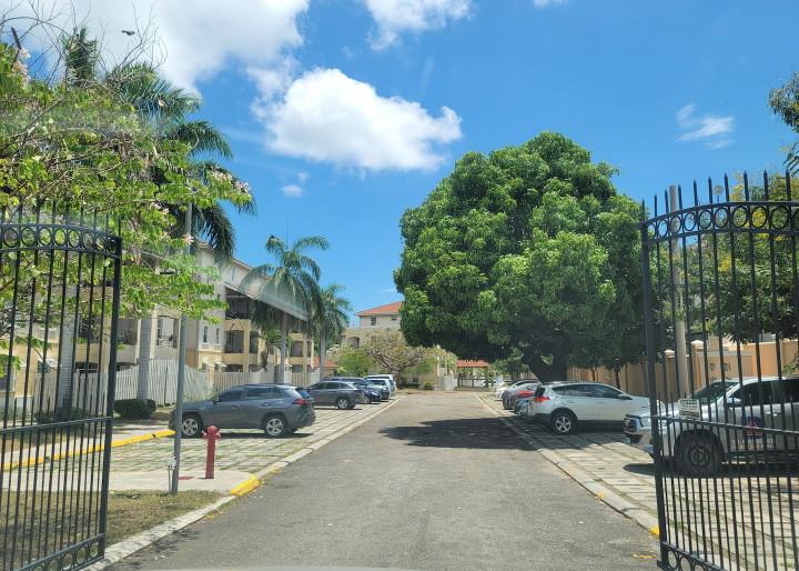 Cozy 2br Apt Near Devon House - Kingston