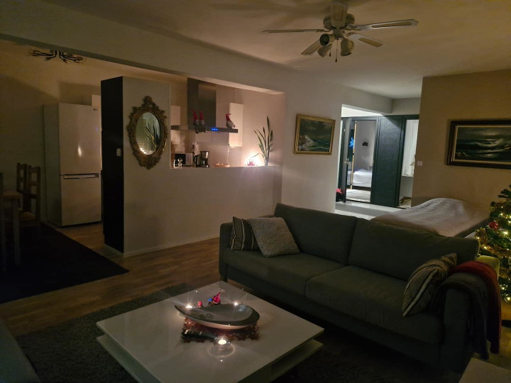 Spacious And Bright Apartment In The City Center - Lappland