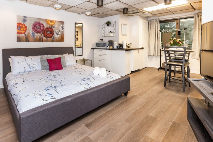 King Bed Studio Apartment - Near Chinatown - Ottawa