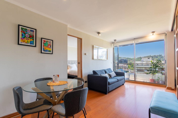 Beautiful And Modern Apartment - Providencia