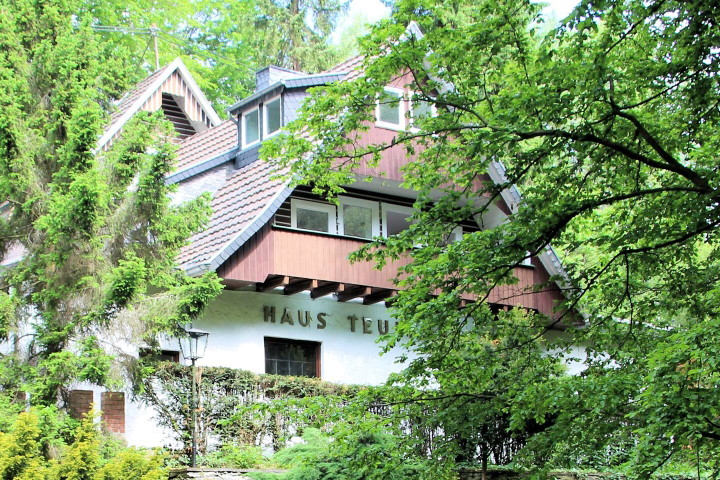 Haus Teufenbach: Throne Room (Double Room) - Rheinbach