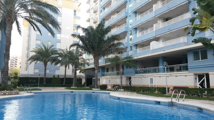 Mi Palmera - Gandia