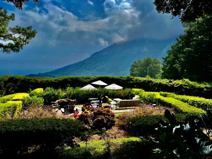 Finca El Olvido - San Salvador