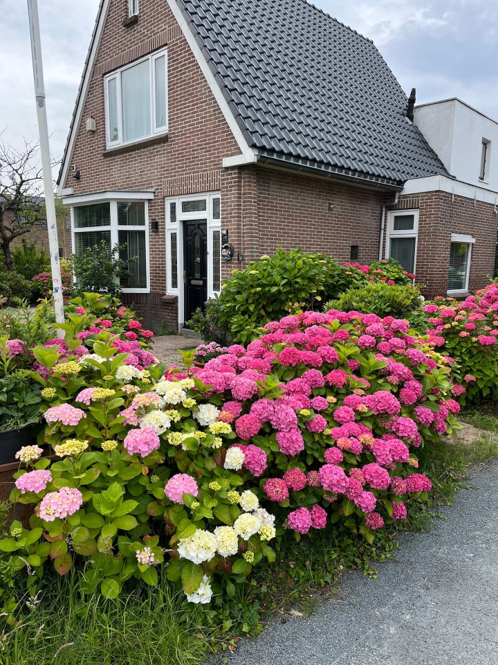Casa Buitenhof, Près De Leiden-katwijk Aan Zee - Leyde