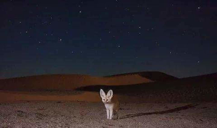 Berber Nomad Camp With Desert Tours - Zagora