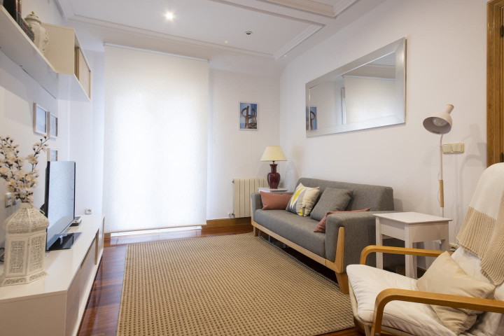 Olas De Ondarreta - Local Rentals - San Sebastián