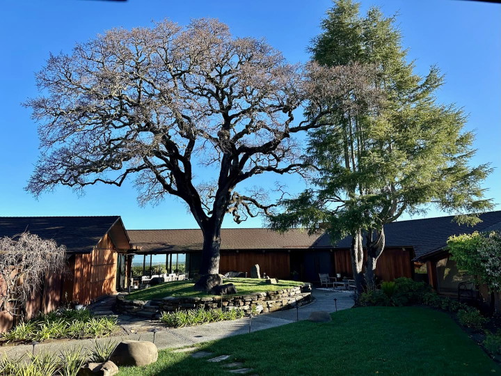 Vues Extraordinaires Architecture Moderniste 1960 - Woodside, CA