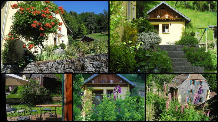 Au Coeur Du Vallon Le Temps Y Est Parfois Suspendu - Alsacia