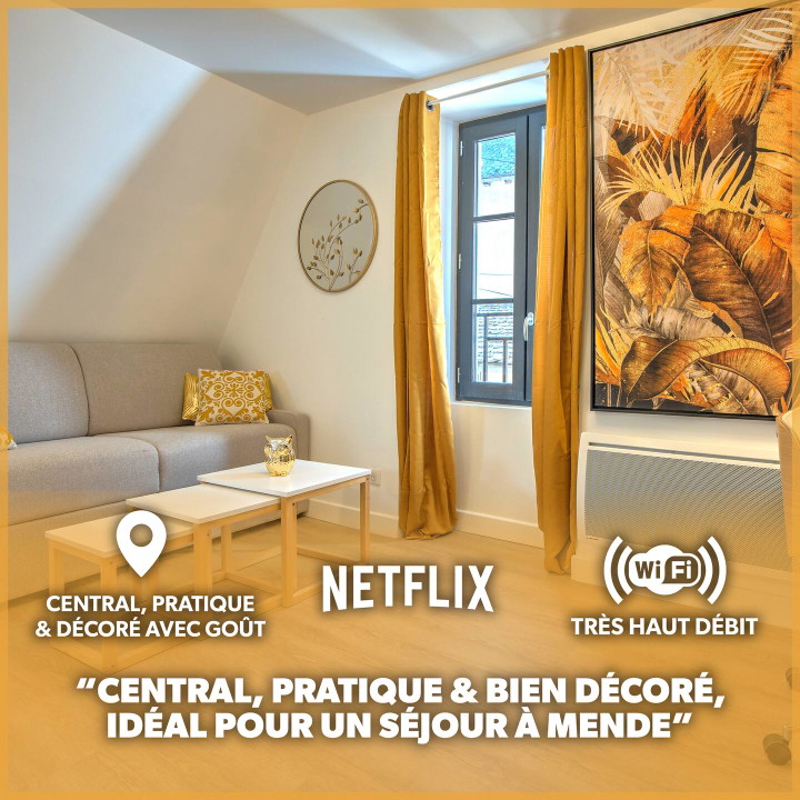 Le Goldenleaf - Netflix/fiber Wi-fi - Lozère Stay - Mende