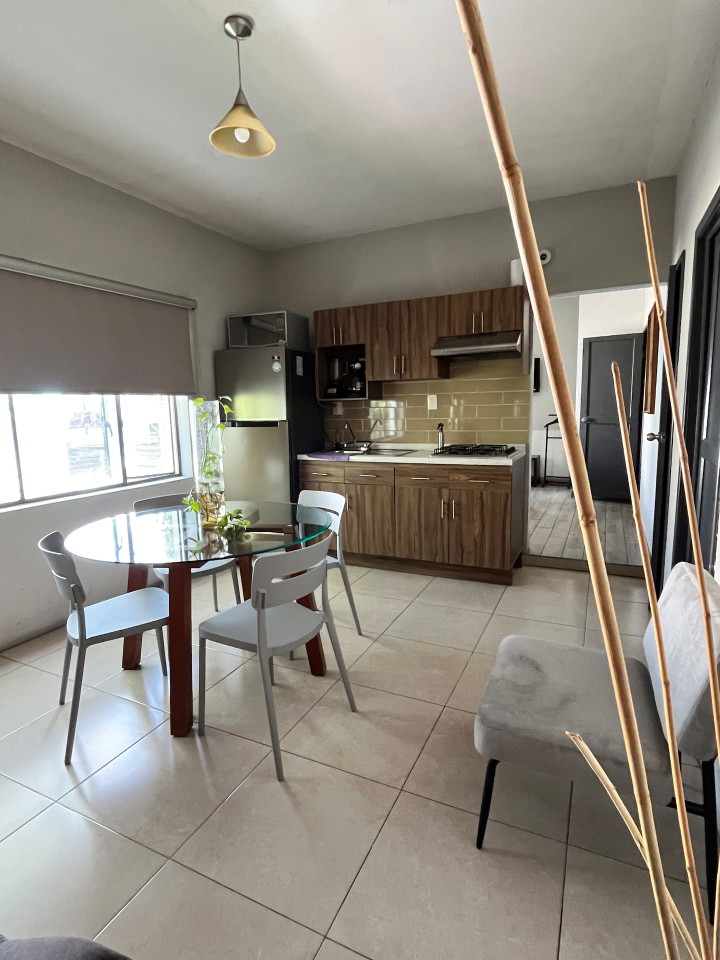 Studio Located In The Chapultepec Area, Niagara - Guadalajara
