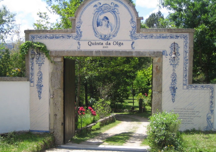 Quinta Da Olga (Alojamento Local) - Sever do Vouga