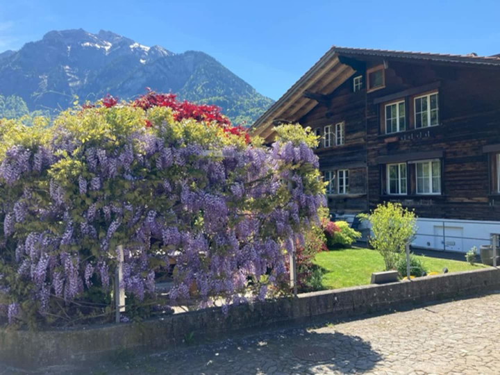 Retraite Dans Un Village Historique, Interlaken, 2 Couchages - Interlaken
