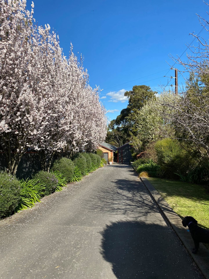 Gablelane Self Contained Unit - Mount Barker