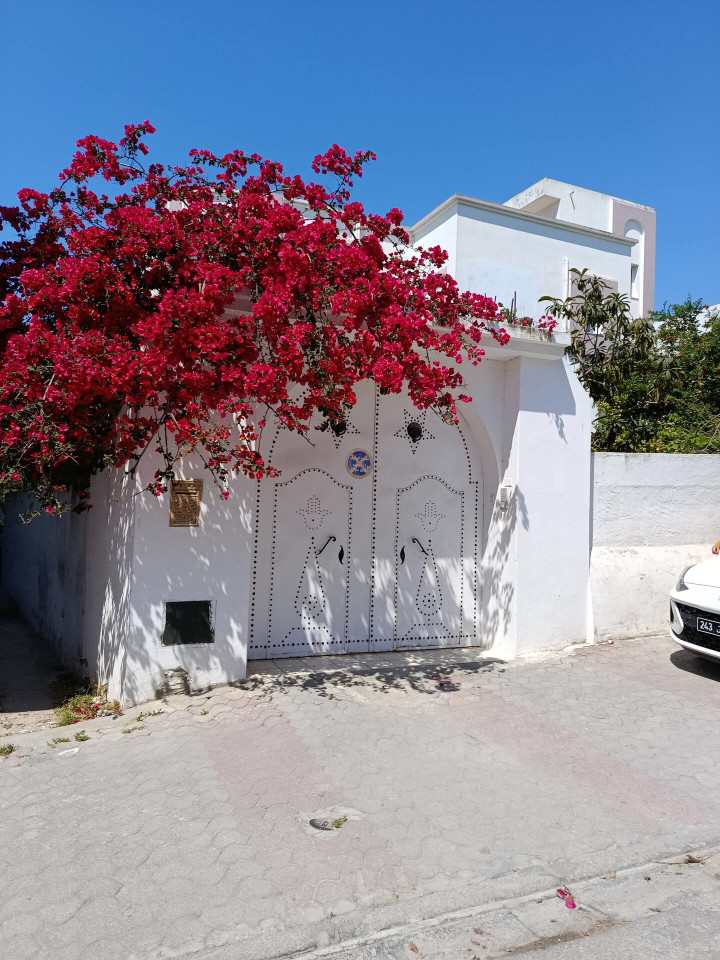 Appartement Moderne à Hammamet - Pied De Plage - Hammamet