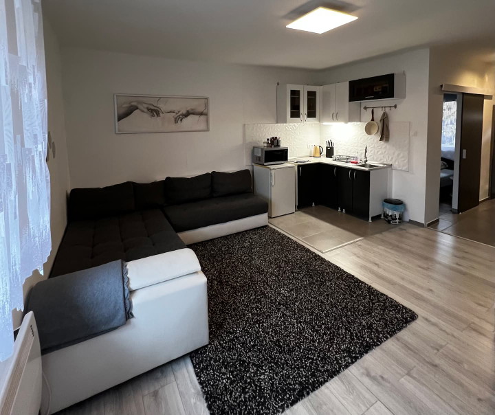 Belvárosi Modern Lakás Flat At The City Center - Pécs