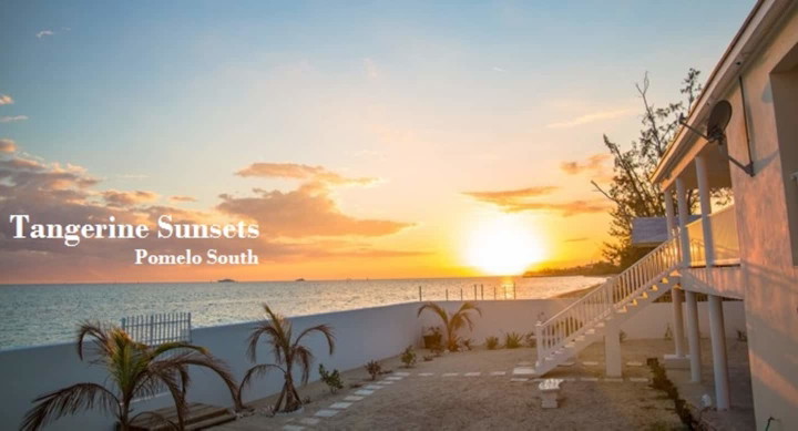 Tangerine Sunsets Pomelo South - Nassau