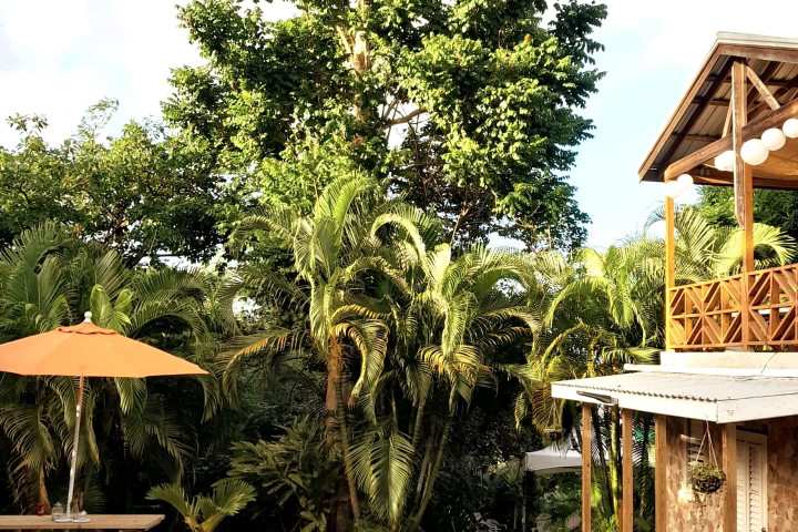 Scottgullyecolodge/king Bed/private/cozyhub - Barbados