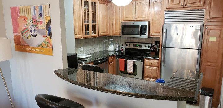 Min 2 Mon Stay Rivernorth 1br 1parking In-unit W/d - Chicago
