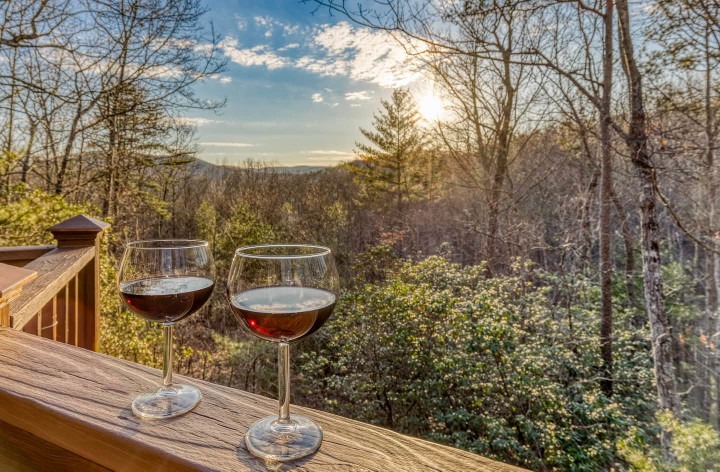 Stunning Foliage & Mountain Views*hot Tub*fire Pit - Georgia, GA