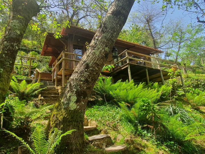 Galhardo's Refuge - Lousã