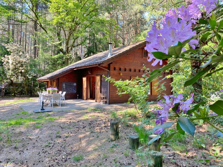 Child-friendly Chalet In The Woods - Beerse