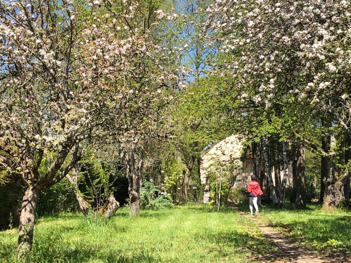 Escapade Au Coeur De La Bourgogne Gîte 100 M2 Clim - Beaune