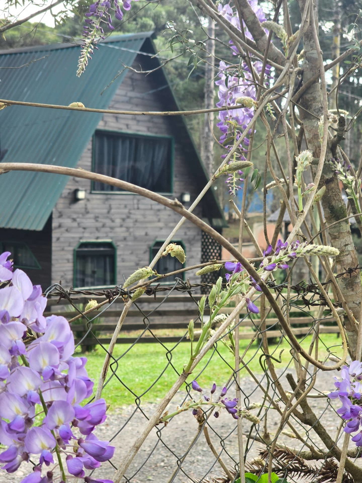 Fursthaus 
Chalé Com Banheira - Campo Alegre