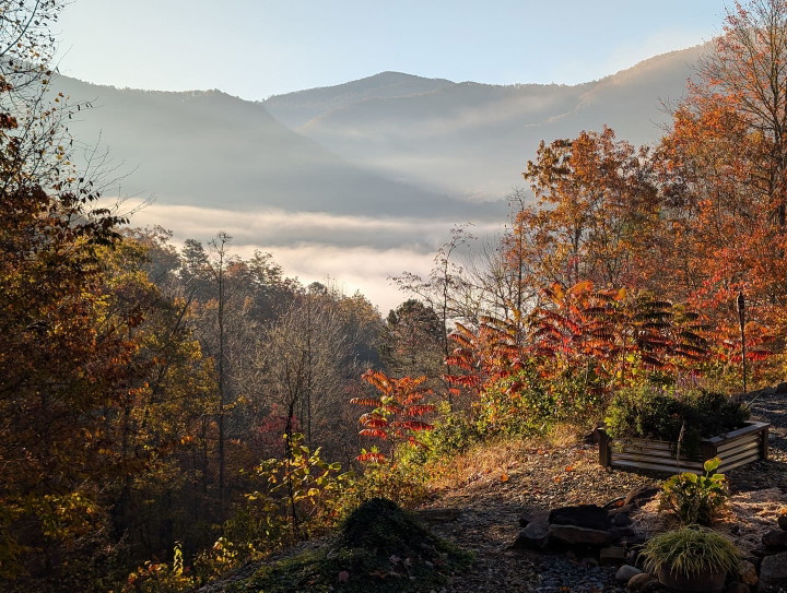 Black Bear Cabin In The Clouds - Sylva, NC