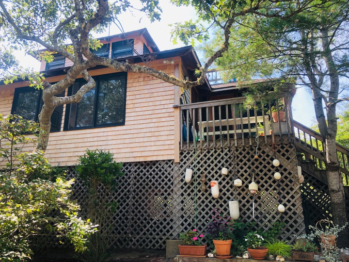 Magical Tree House On Secluded End Of Island - Massachusetts
