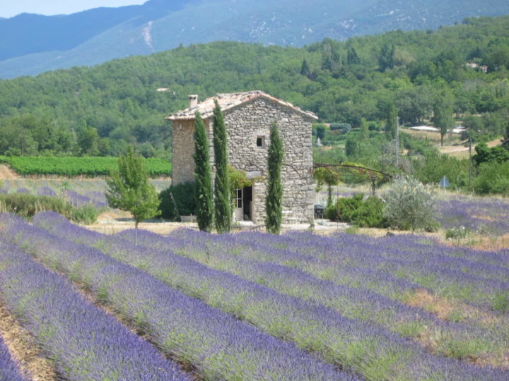 Le Petit Cabanon Aux Lavandes - Rustrel