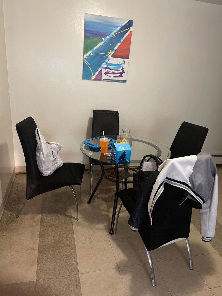 Room In Tinley Park - Tinley Park, IL