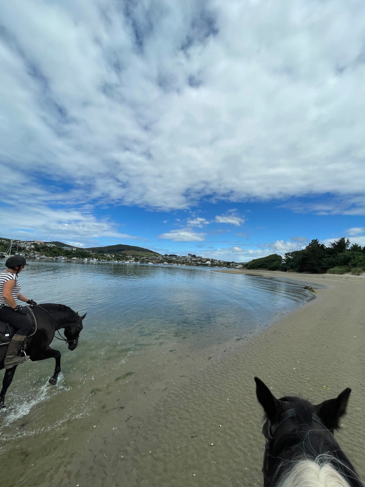 Riviera Shack - Riverton/Aparima