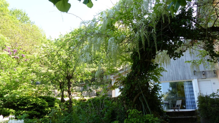 Une Vue Imprenable Dans Un éCrin De Verdure ! - Besançon