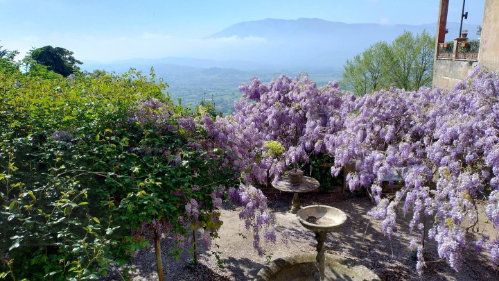 Mirò, Comfort E Relax A Due Passi Da Tutto - Anagni
