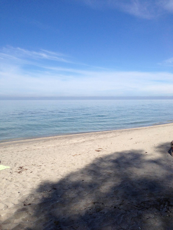 Little Venice - Venice, FL