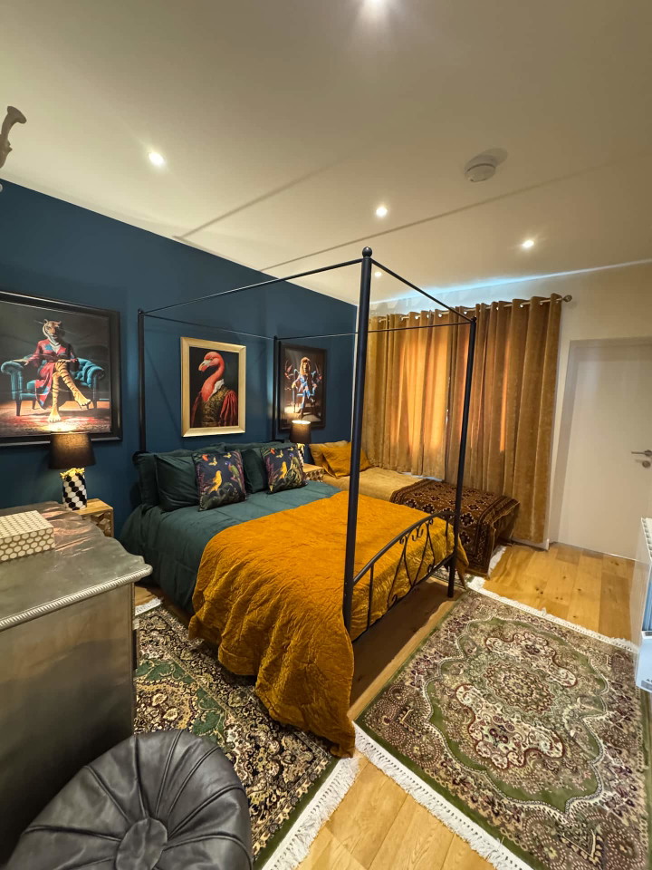 Jett Joy Pet Friendly - Bloomsbury