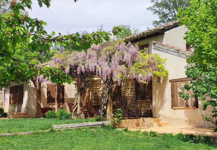 The Spring Garden - Brihuega
