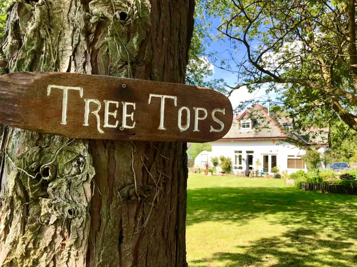 The Wee Loft At Treetops - Drymen