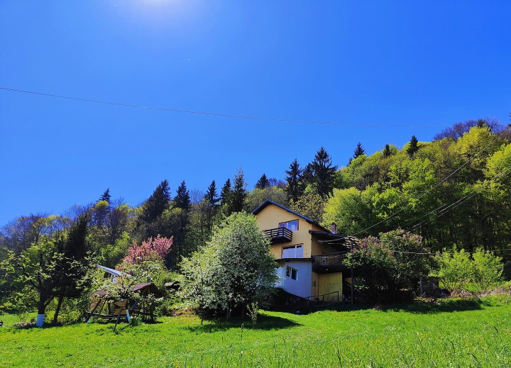 Apartament Confortabil - Casa De Sub Pădure Bran - 브란