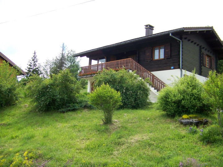Chalet Accueillant Avec Cheminée (Bois Fourni ) - Clairvaux-les-Lacs