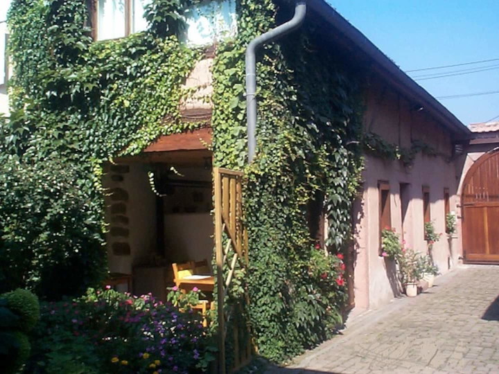 Gîte Maison Traditionnelle Alsacienne - Dambach-la-ville